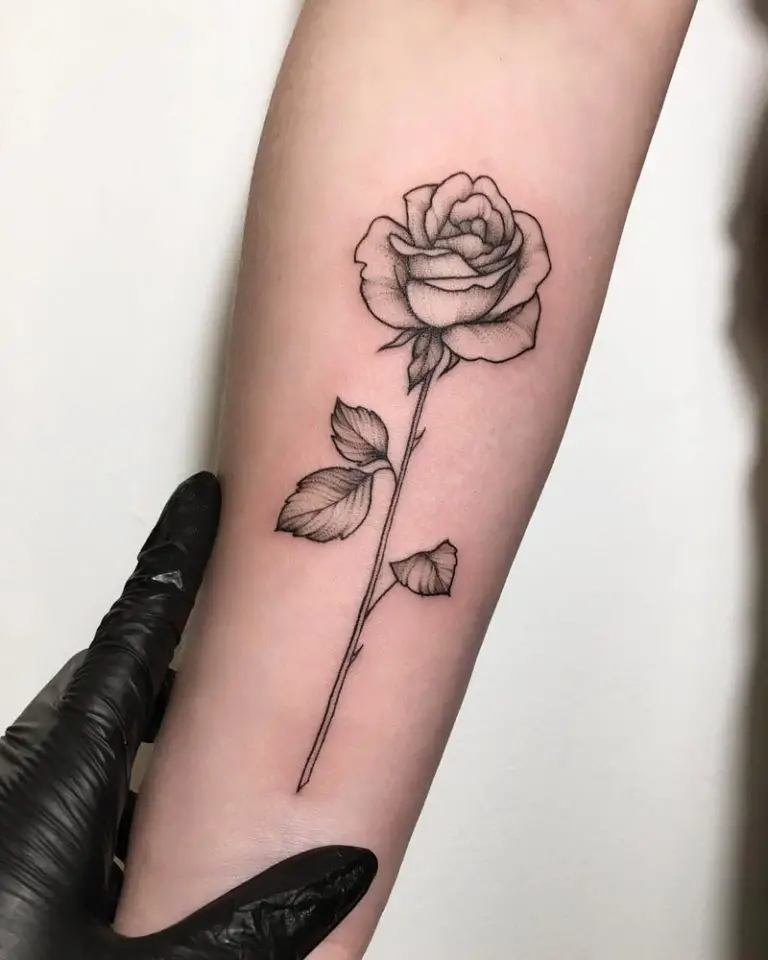 Tatuagem de rosa feminina: +30 fotos lindíssimas para fazer