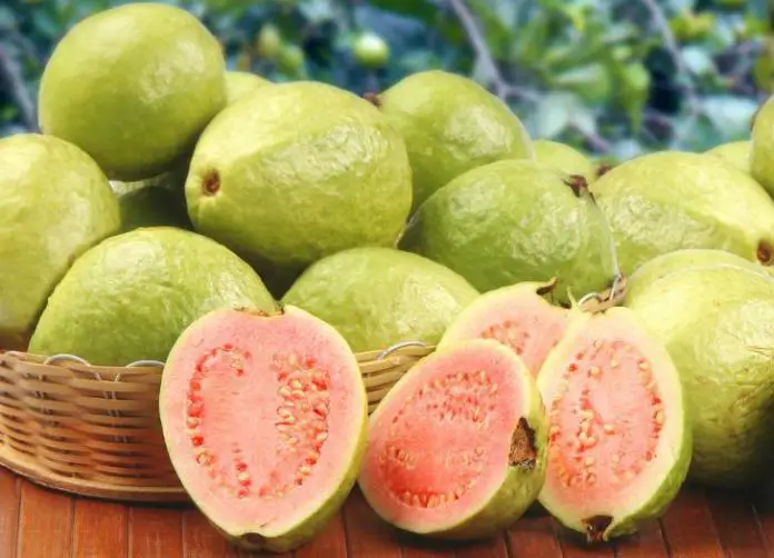 Nomes de Frutas de A a Z (+ de 300 Nomes)